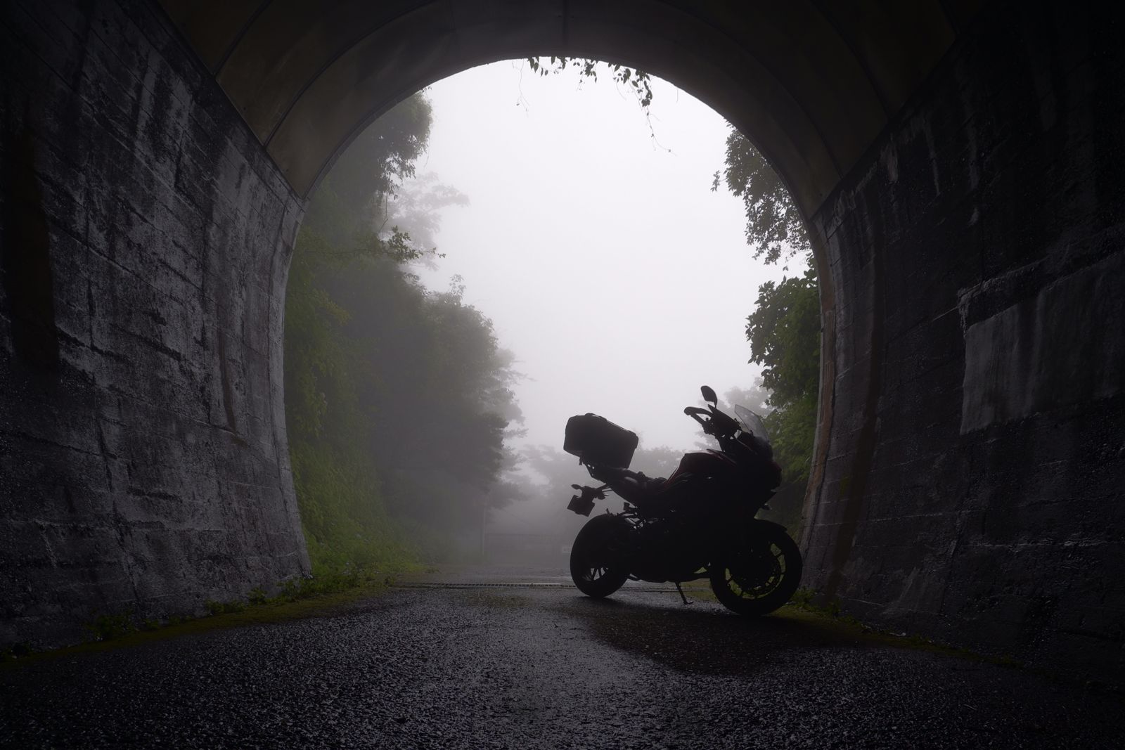 A Love Letter to The Tsubaki Line - Nanikore talks about the Tsubaki Line